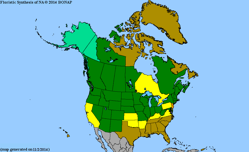 2013 BONAP North American Plant Atlas. TaxonMaps