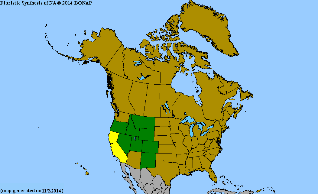 2013 BONAP North American Plant Atlas. TaxonMaps