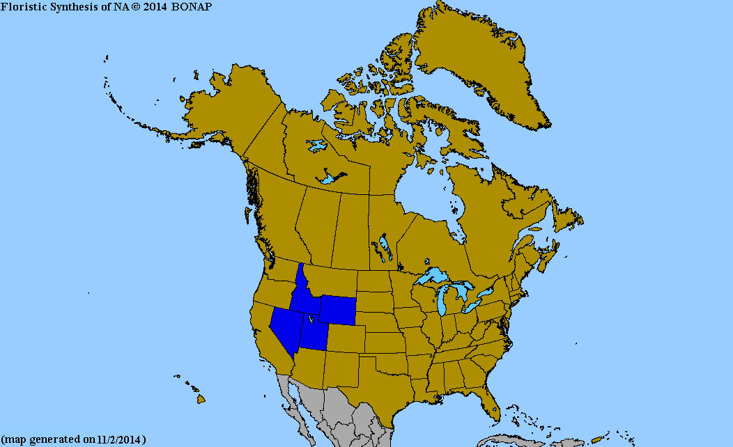 2013 BONAP North American Plant Atlas. TaxonMaps