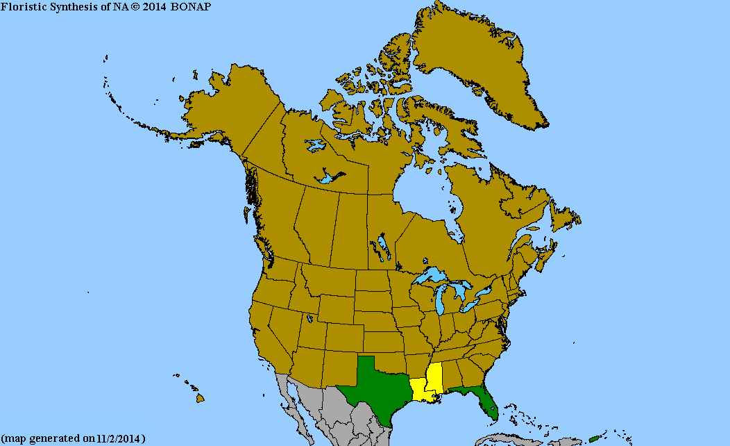 2013 BONAP North American Plant Atlas. TaxonMaps