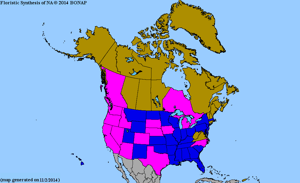 2013 BONAP North American Plant Atlas. TaxonMaps