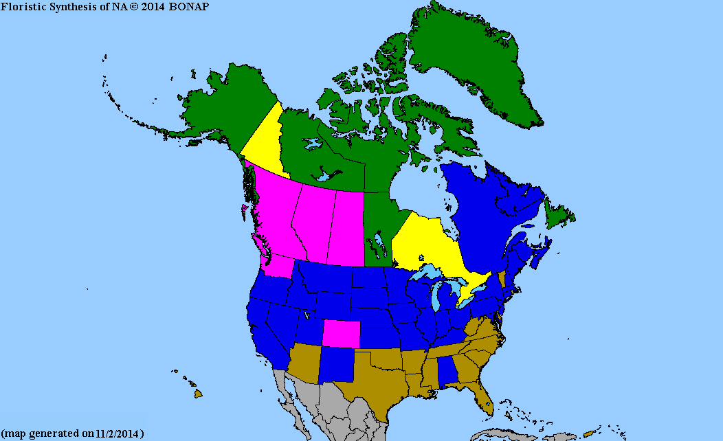 2013 BONAP North American Plant Atlas. TaxonMaps