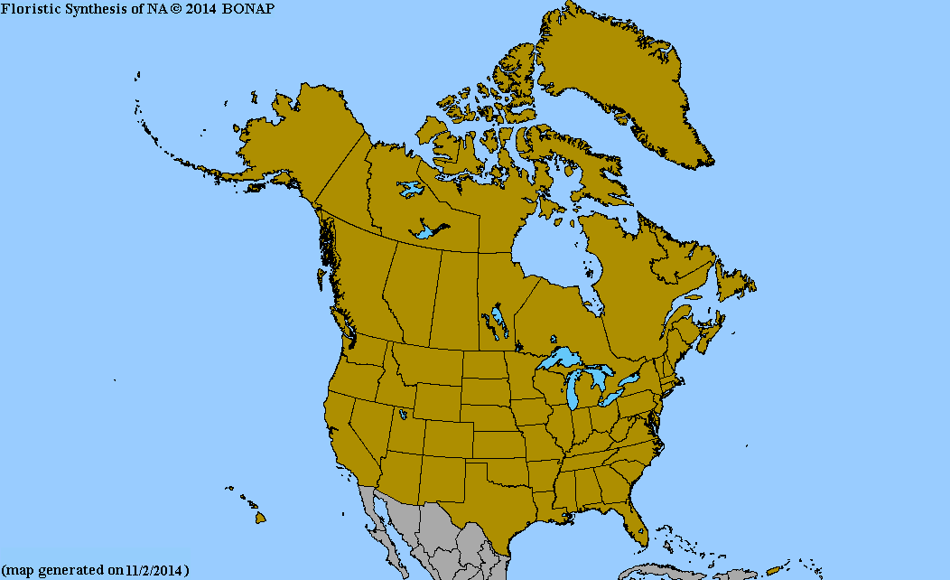 2013 BONAP North American Plant Atlas. TaxonMaps