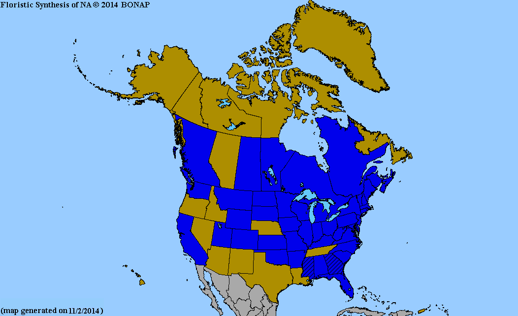 2013 BONAP North American Plant Atlas. TaxonMaps