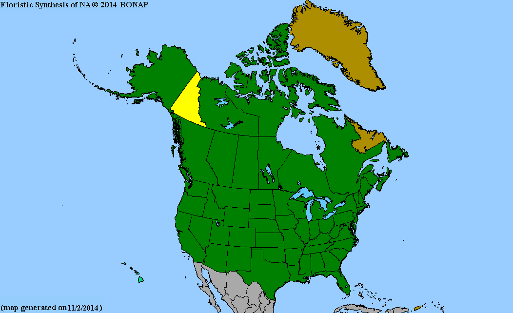 2013 BONAP North American Plant Atlas. TaxonMaps