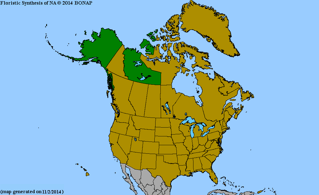 2013 BONAP North American Plant Atlas. TaxonMaps