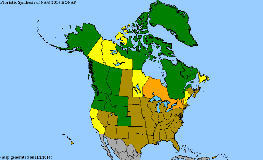 2013 BONAP North American Plant Atlas. TaxonMaps