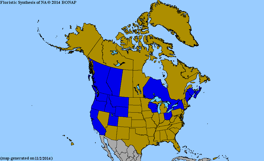 2013 BONAP North American Plant Atlas. TaxonMaps