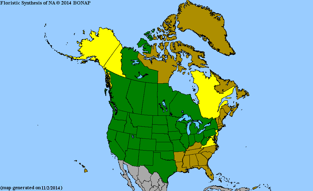 2013 BONAP North American Plant Atlas. TaxonMaps
