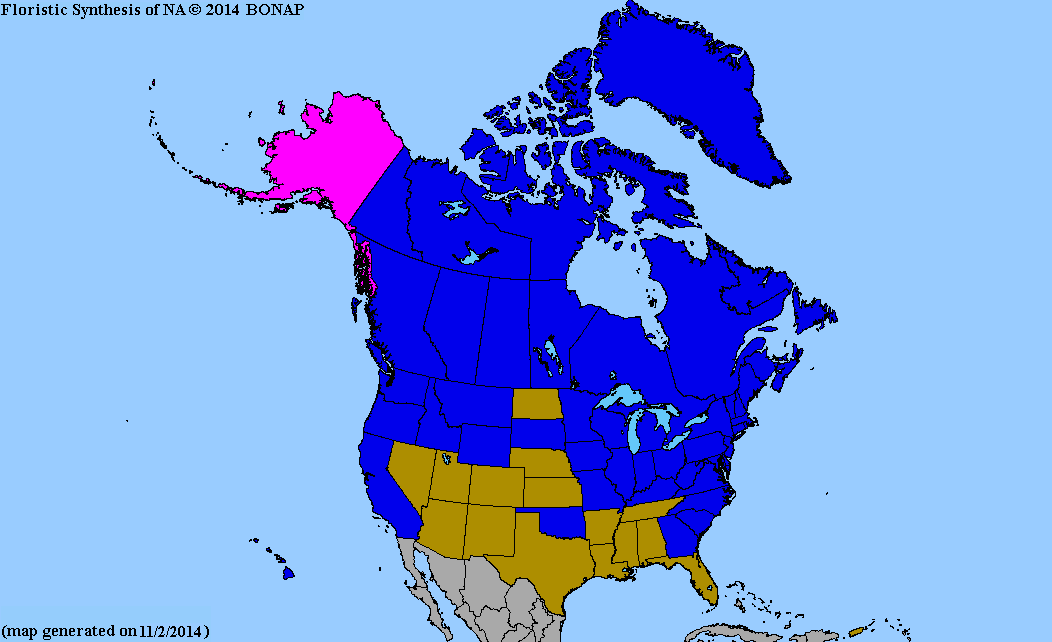 2013 BONAP North American Plant Atlas. TaxonMaps