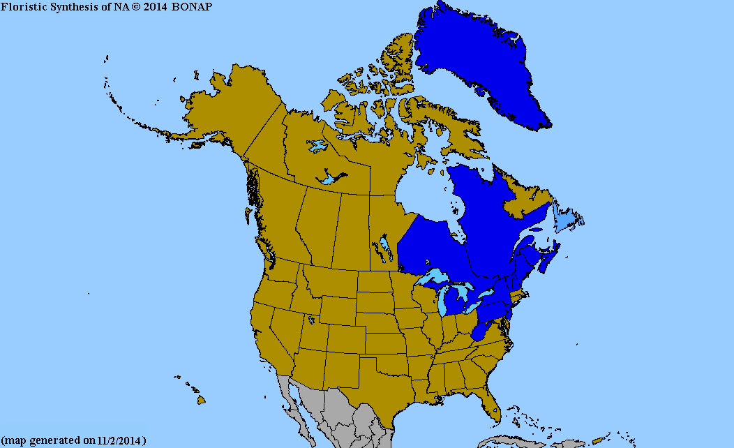 2013 BONAP North American Plant Atlas. TaxonMaps
