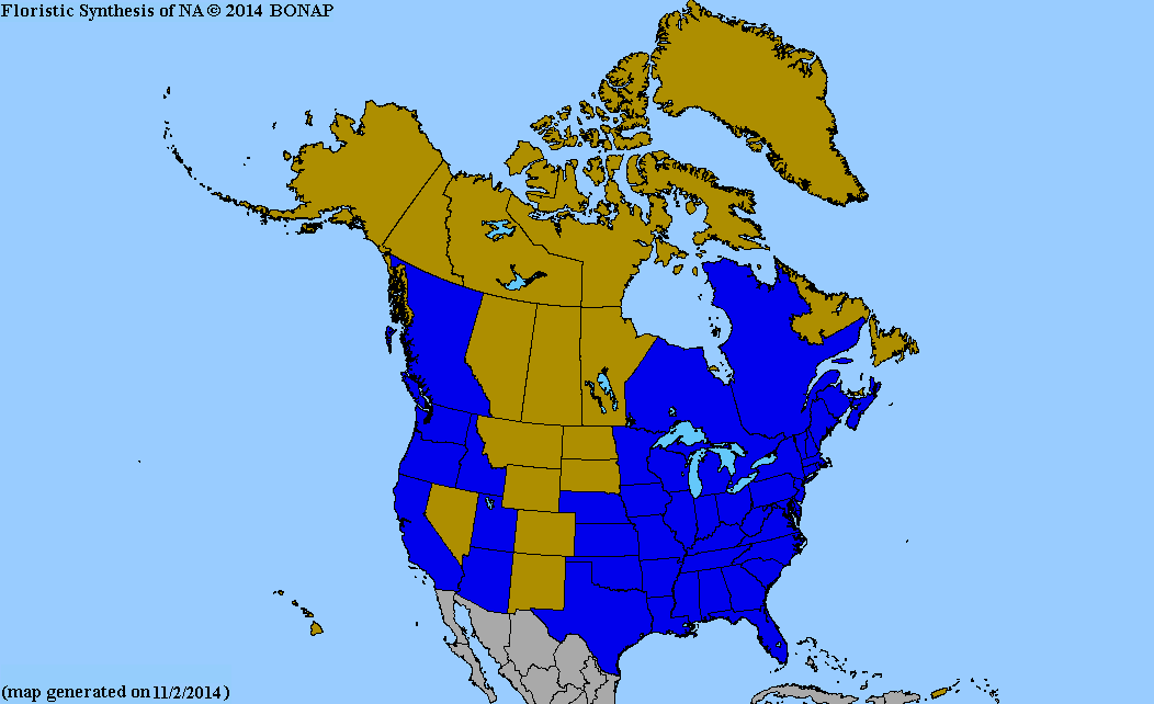 2013 BONAP North American Plant Atlas. TaxonMaps