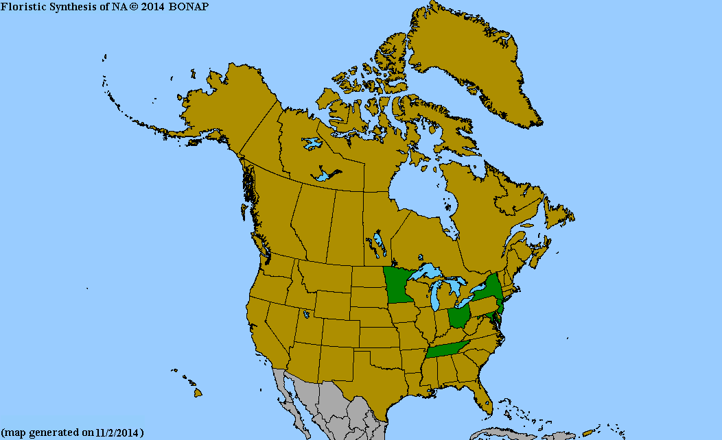 2013 BONAP North American Plant Atlas. TaxonMaps