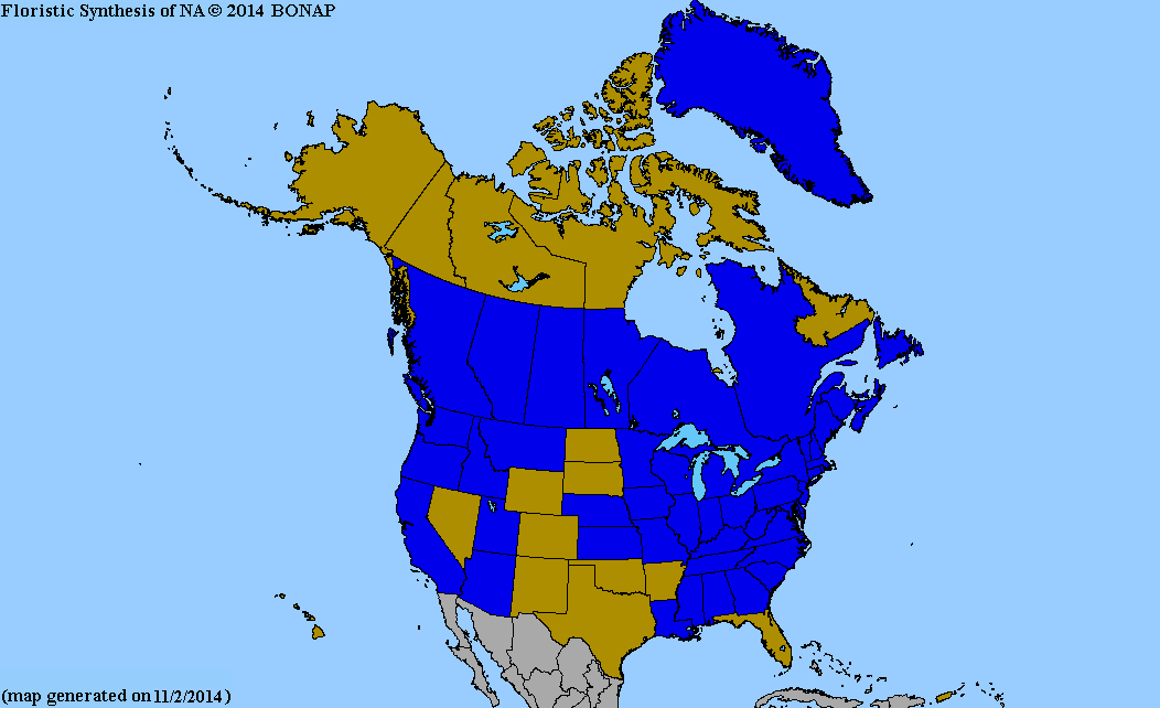 2013 BONAP North American Plant Atlas. TaxonMaps