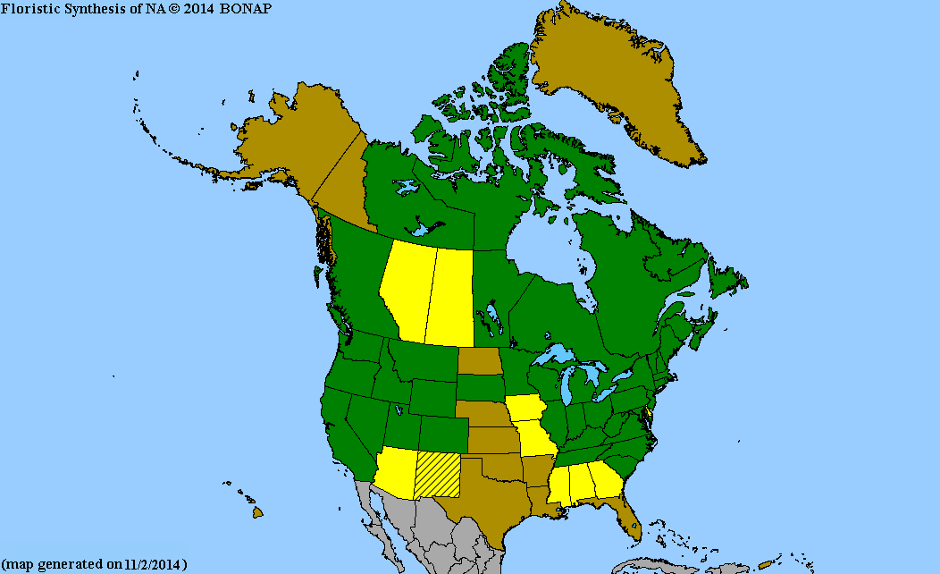2013 BONAP North American Plant Atlas. TaxonMaps
