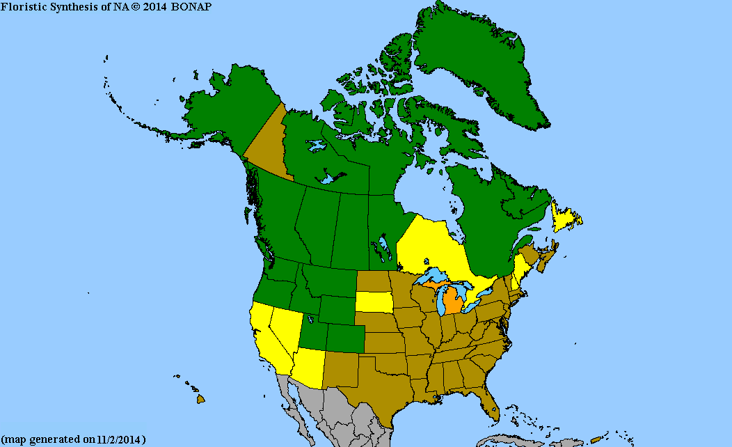 2013 BONAP North American Plant Atlas. TaxonMaps