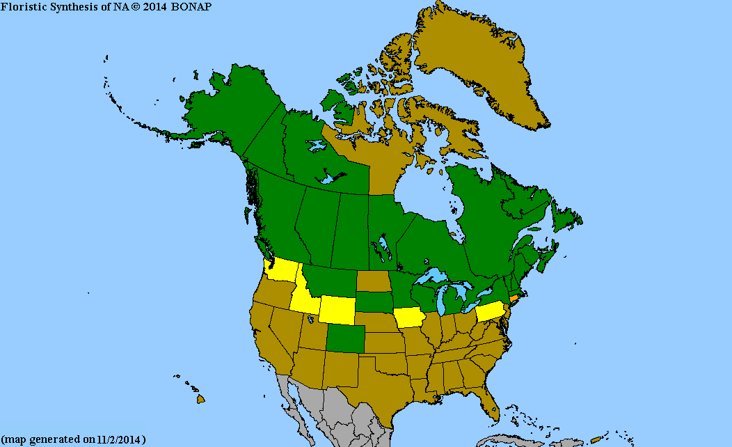 2013 BONAP North American Plant Atlas. TaxonMaps