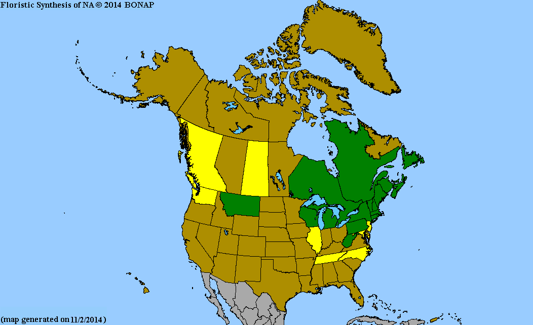 2013 BONAP North American Plant Atlas. TaxonMaps