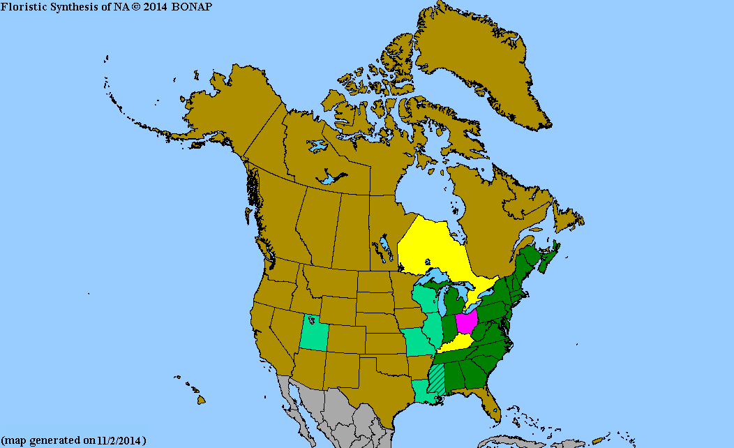 2013 BONAP North American Plant Atlas. TaxonMaps
