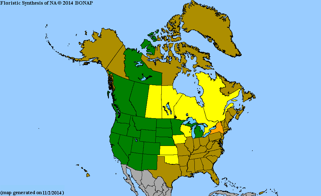 2013 BONAP North American Plant Atlas. TaxonMaps