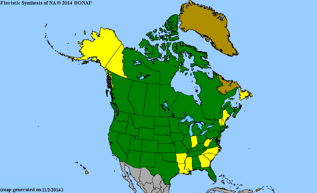 2013 BONAP North American Plant Atlas. TaxonMaps