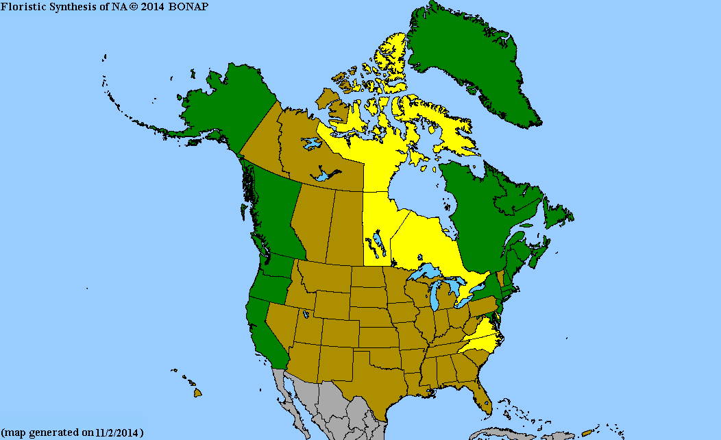 2013 BONAP North American Plant Atlas. TaxonMaps